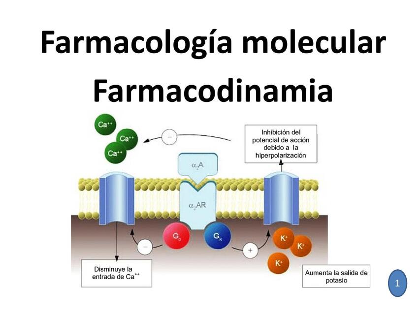 farmacodinamia 2025 (1) | Maria | uDocz