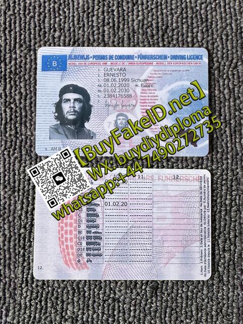 购买比利时驾照 补办比利时驾照Belgian driver's license_(国际办证ID 1：1还原复制）国际ID在线办理包交付 ...