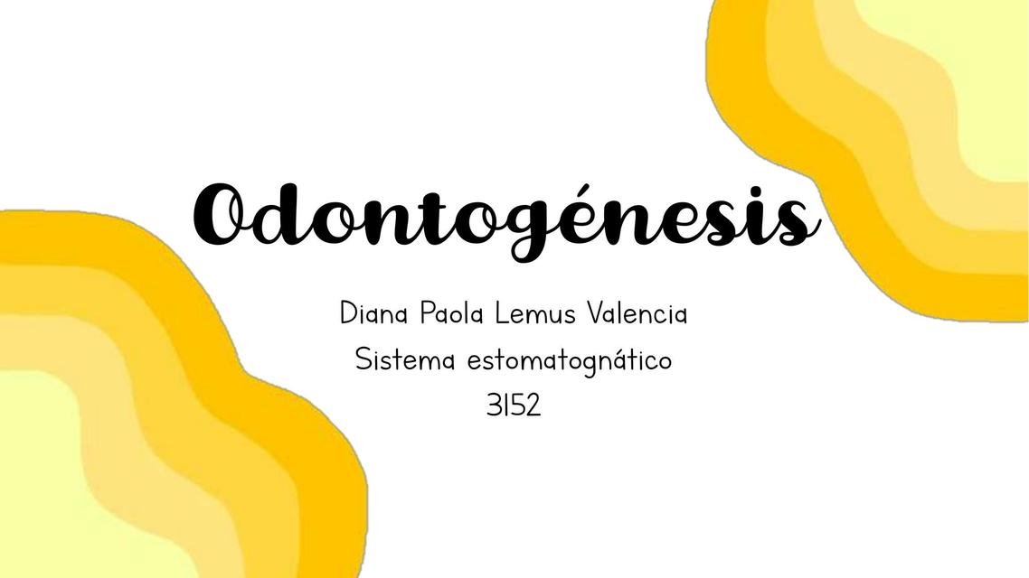 ODONTOGENESIS | Paola Lemus | uDocz