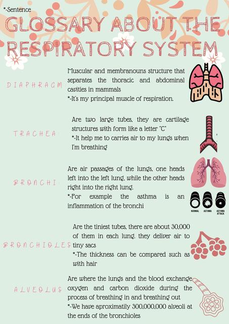 Glosary About The Respiratory System | APUNTES MÉDICOS | uDocz