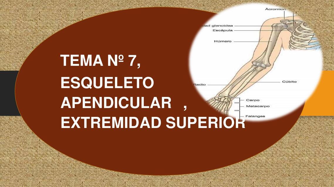 TEMA 7 | Sofia | uDocz