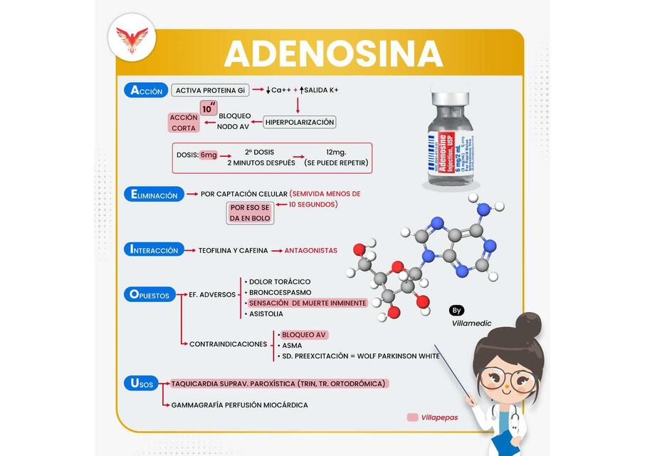 VILLACARDS | rocio ramirez | uDocz