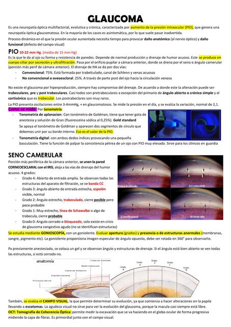 TP 5 glaucoma | Abigail Jaime | uDocz