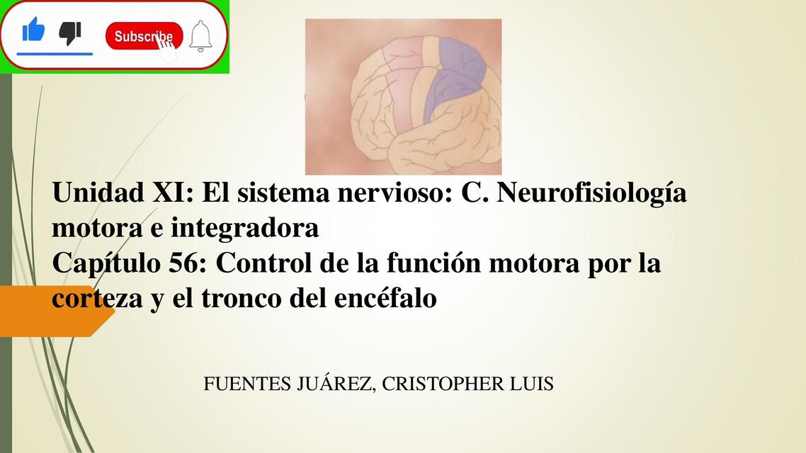 CAPÍTULO 56 CONTROL DE LA FUNCIÓN MOTORA POR LA CORTEZA y TRONCO DEL ...