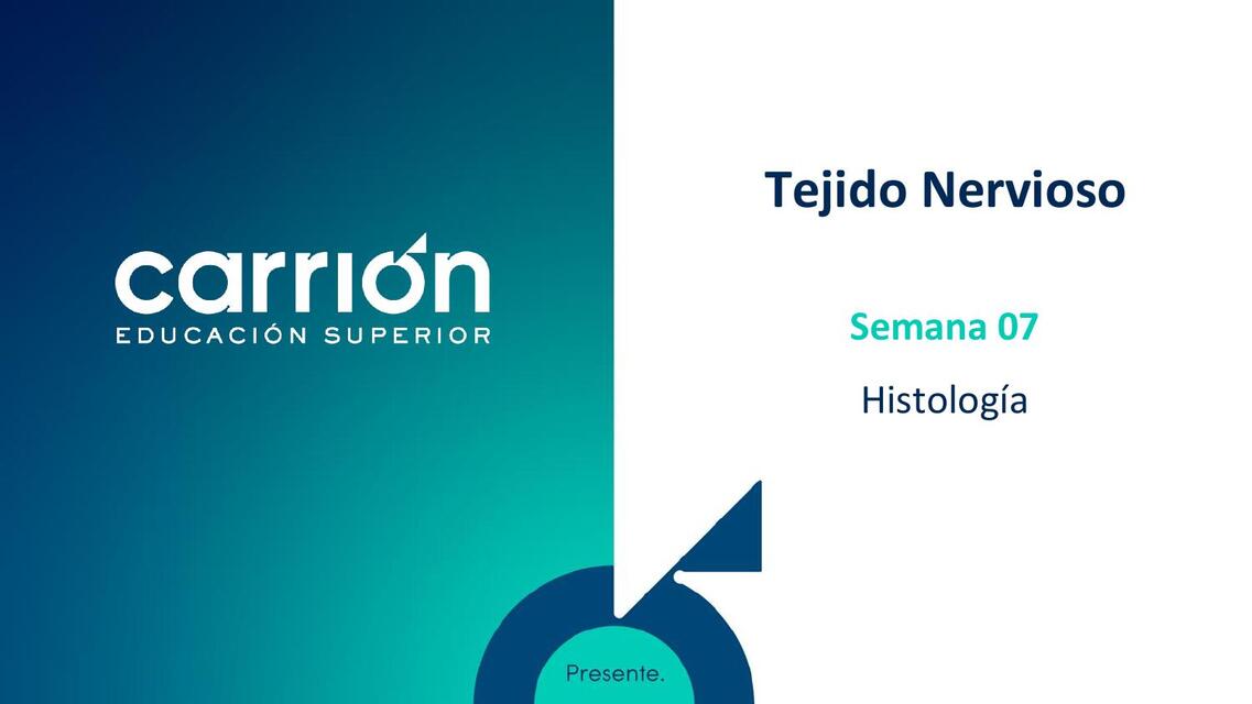 Semana 07 | micaela | uDocz