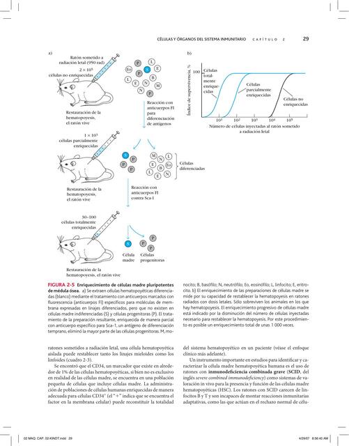 INMUNOLOGIA DE KUBY 6 Edicion KINDT 52 53 | Cesar Enrique Gonzalez Pastrana | uDocz