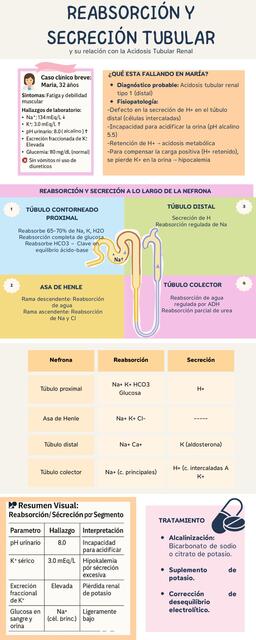 Infografía Reabsorción y secreción tubular | Heidy Bravo | uDocz