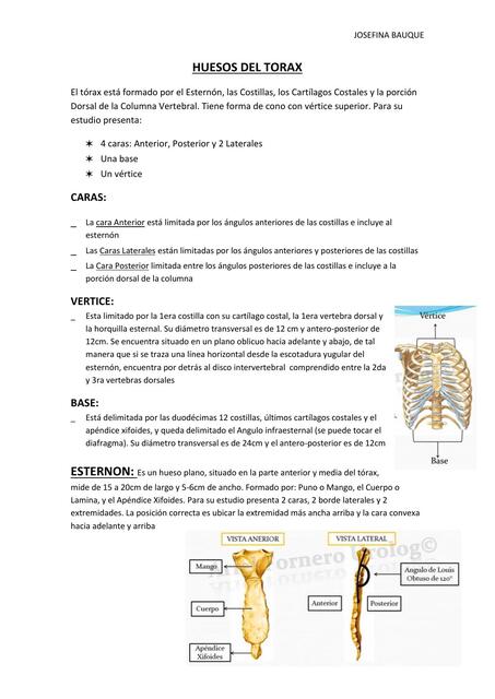 TORAX 2 | Mile | uDocz