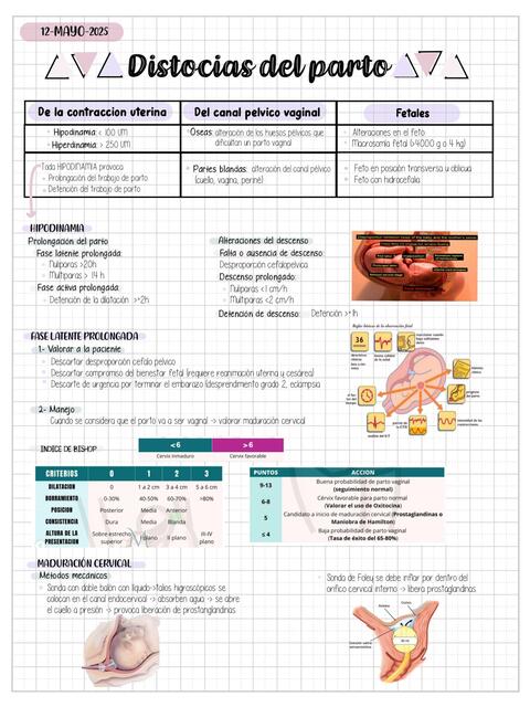 Distocias del parto | Ari_mednotes | uDocz
