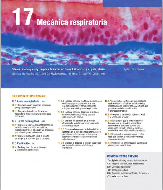 Mecánica respiratoria | Sofia | uDocz