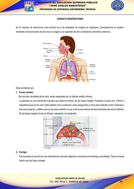 SEPARATA 11 | Leticia Ramos Aguilar | uDocz