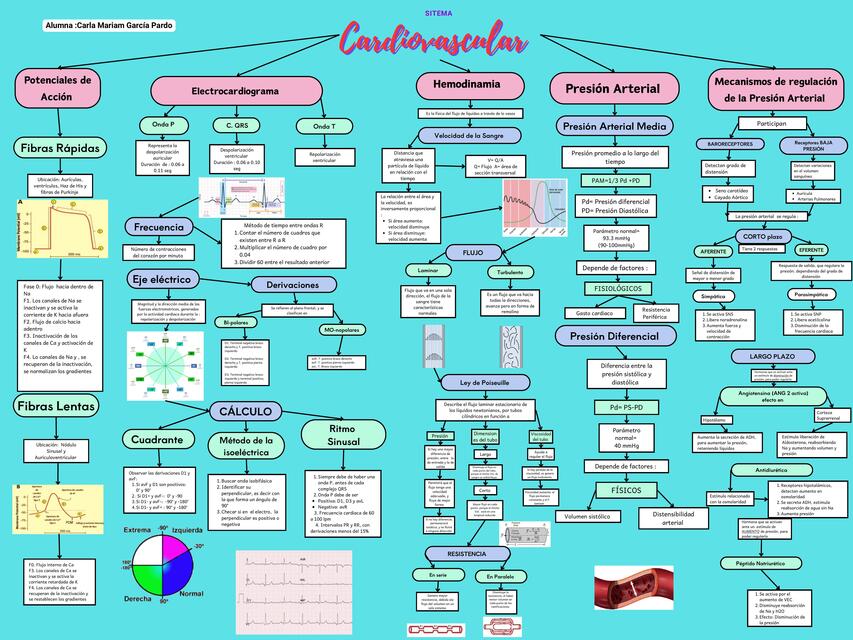 Mapa Cardio fisio | Carla García Pardo | uDocz