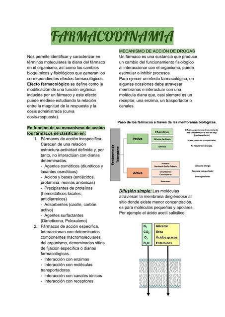 FARMACODINAMIA | Arlette Andrade | uDocz