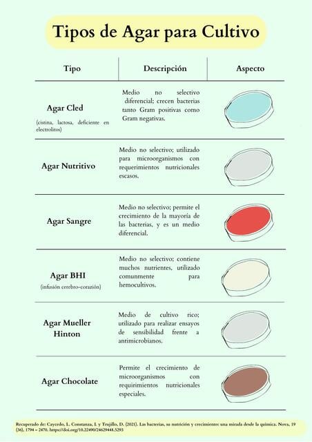 Tipos de Agar para Cultivo | Sasha Velazquez Angeles | uDocz
