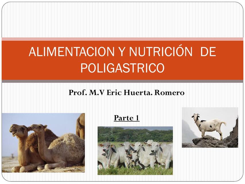 ALIMENTACION Y NUTRICIÓN DE POLIGASTRICO Parte1 | Tehoscar | uDocz