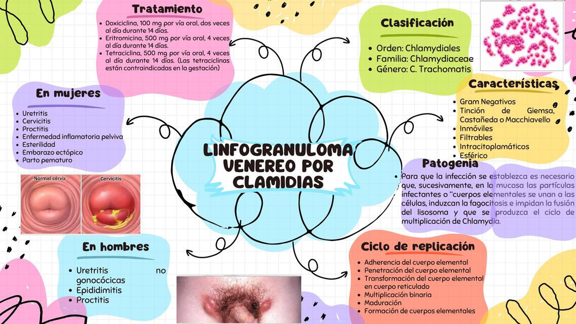 LINFOGRANULOMA VENEREO POR CLAMIDIAS | Zaira Leticia | uDocz