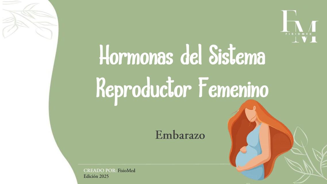 Hormonas del Embarazo | Fisiomed023 | uDocz