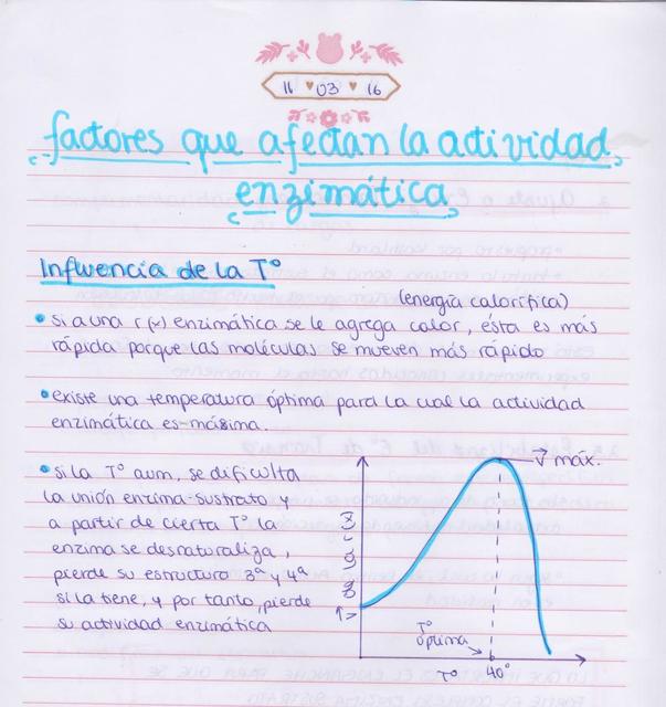 Actividad enzimática | Enzima | Microbiología | uDocz Actividad enzimática | Enzima | Microbiología | uDocz