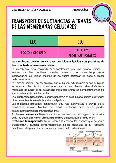 TRANSPORTE DE SUSTANCIAS A TRAVES DE LAS MEMBRANAS | Adriana belen | uDocz