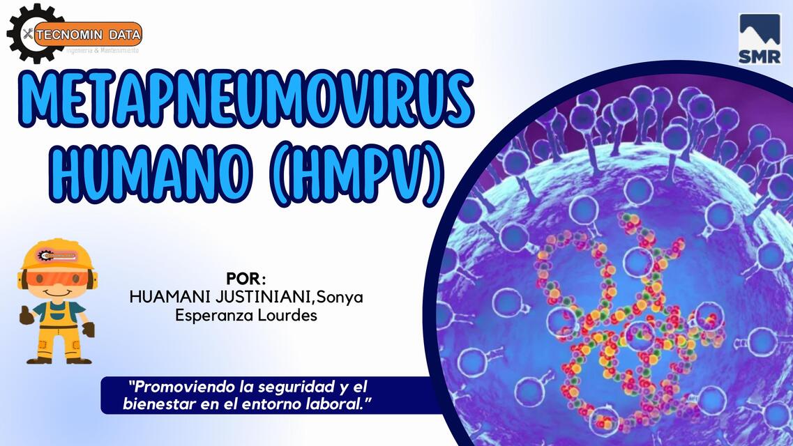 METAPNEUMOVIRUS HUMANO HMPV | Sonya Esperanza Huamani Justiniani | uDocz