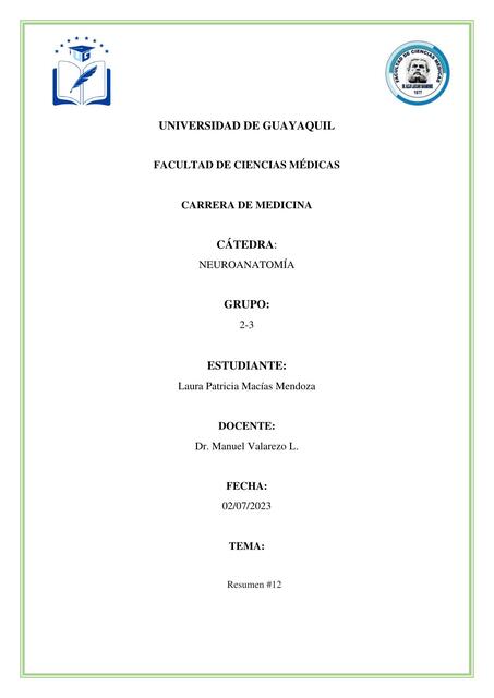Resumen 12 Neuroanatomía | Laura Macías | uDocz