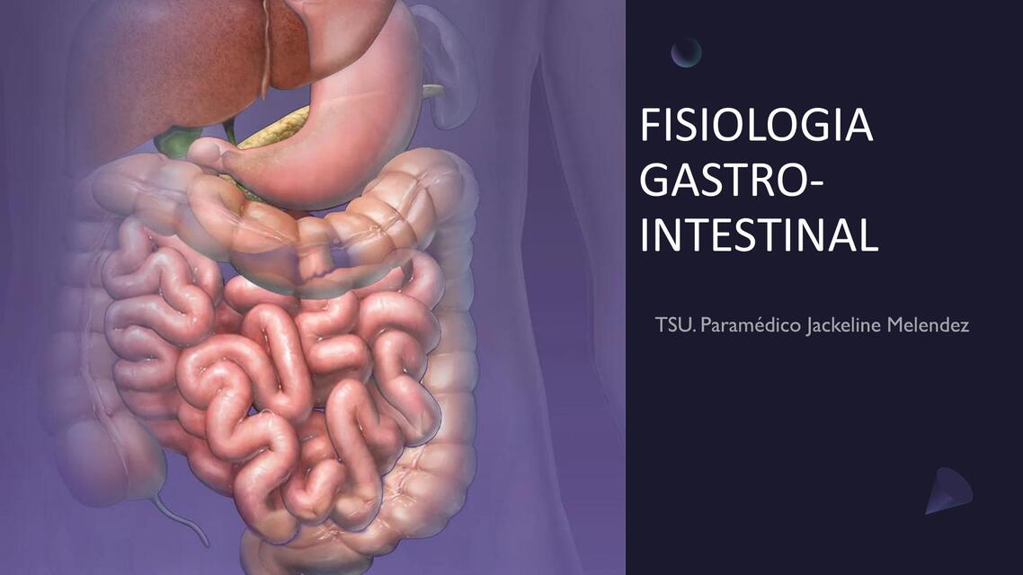 FISIOLOGIA GASTRO INTESTINAL | Gloria Melendez | uDocz