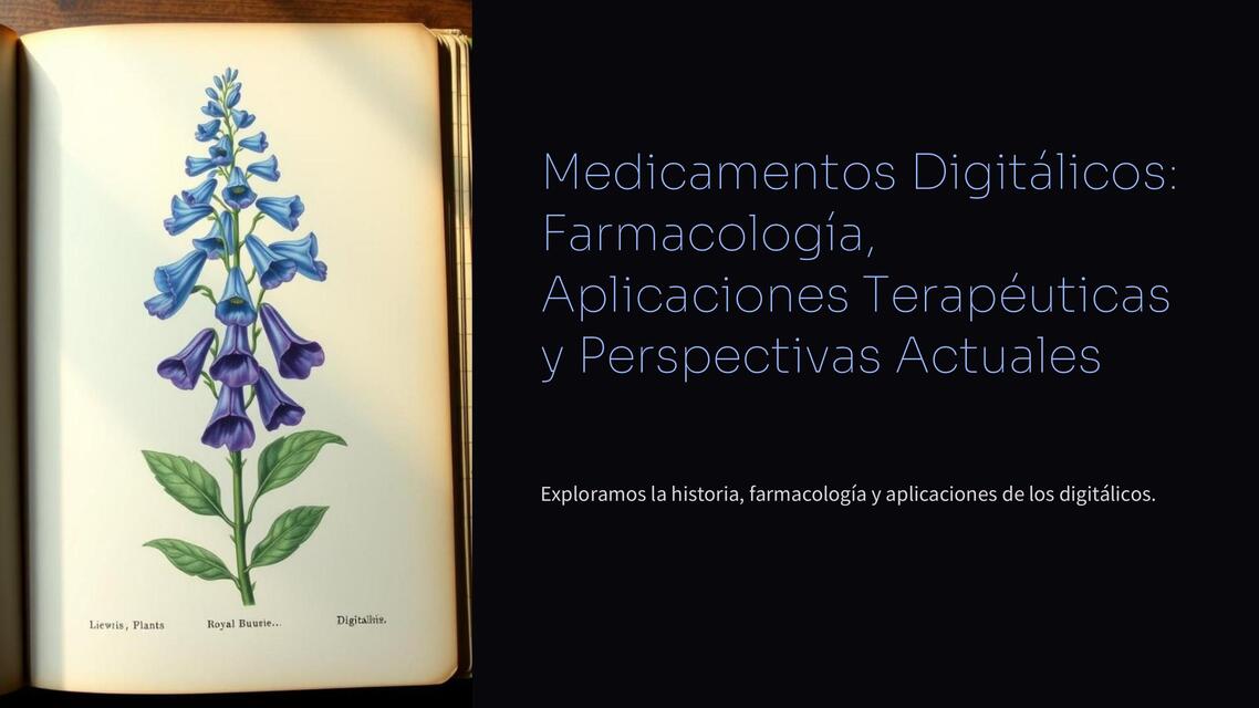 Medicamentos Digitalicos Farmacologia Aplicaciones | Diego Roberto ...