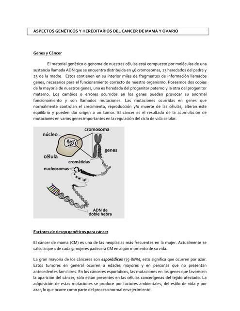 ASPECTOS GENÉTICOS Y HEREDITARIOS DEL CANCER DE MAMA | Celeste Codutti ...