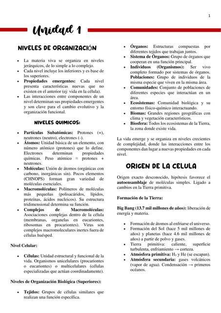 Flashcards de UNIDAD 1 BIOLOGIA | Por Victoria Segovia | uDocz