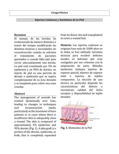 Injertos Cutáneos y Sustitutos de la Piel Cirugía | Josué Contreras | uDocz