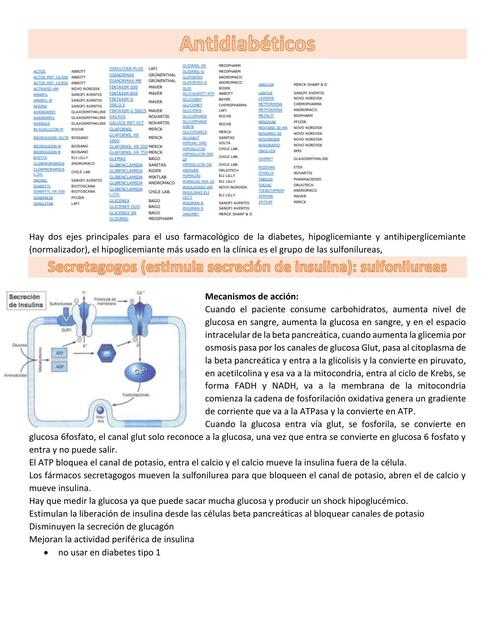 Farmacos antidiabeticos | Chiqui Rojita | uDocz