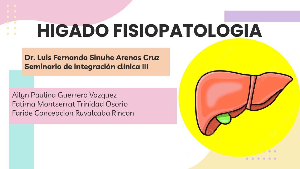 FISIOLOGÍA DEL HÍGADO 7B | FREDDY BARRIOS | uDocz