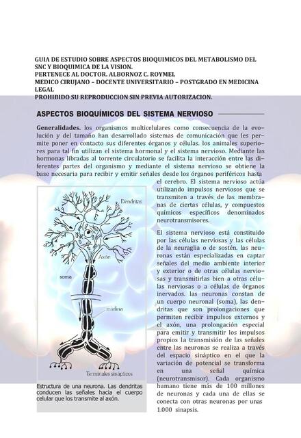 GUIA DE ESTUDIO SOBRE SNC Y VISION | Lisseth | uDocz