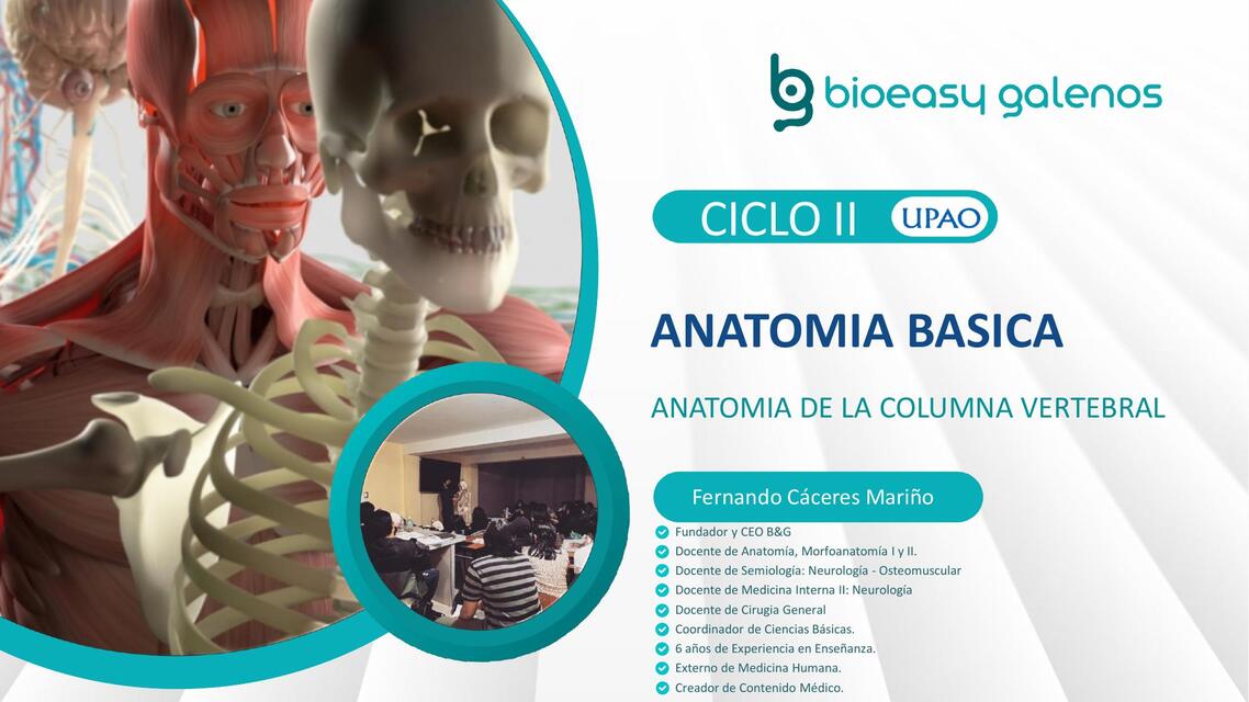 ANATOMIA DE LA COLUMNA VERTEBRAL BG 1 FERNANDO CAC | Sofia Cordova | uDocz
