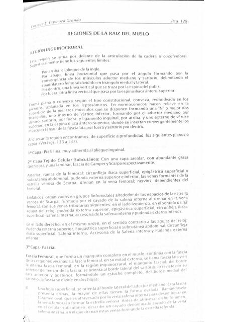 ANATOMÍA HUMANA Inguinocrural | Bio Notes | uDocz