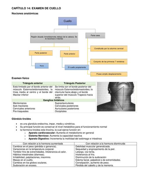 Flashcards de C C C C cap 14 | Por Alma Pisquiy | uDocz