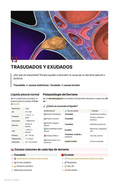 Flashcards de TRASUDADOS Y EXUDADOS | Por ROMERO DIAZ | uDocz