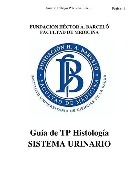GUIA HISTO URINARIO era2 6 | Lurdes | uDocz