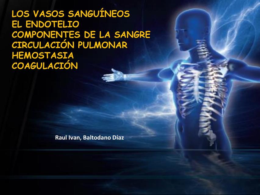 Fisiología del Endotelio | Ahmed Casana | uDocz