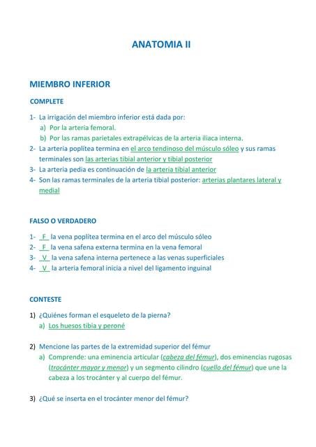 Repaso Miembro Inferior | Elizabeth Morel Dominguez | uDocz