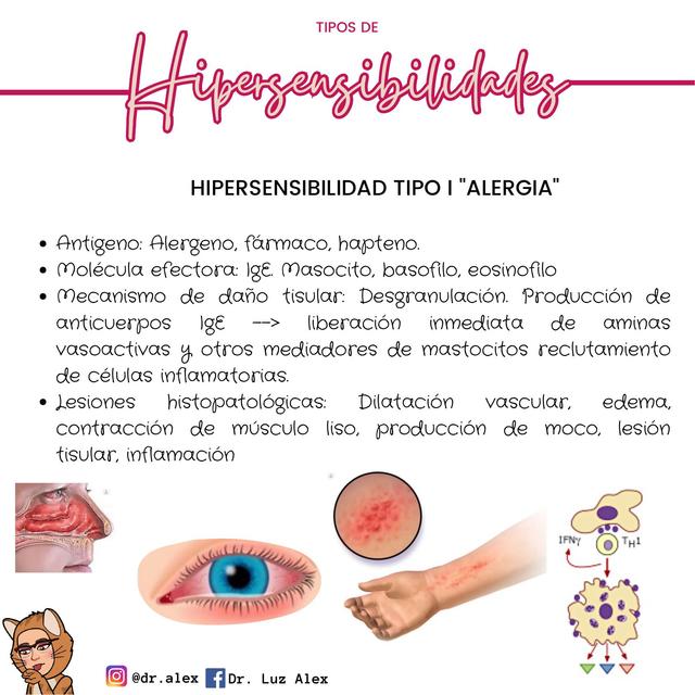 HIPERSENSIBILIDADES | Medicina | Inmunología humana | uDocz HIPERSENSIBILIDADES | Medicina | Inmunología humana | uDocz