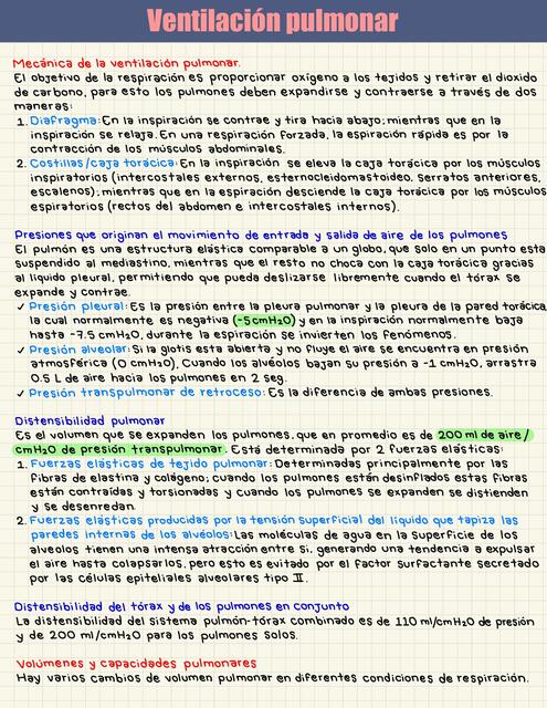 Cap 38, fisiología de Guyton, Ventilación pulmonar | Isabel Marines | uDocz