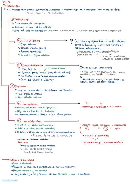 Flashcards de Medicina | Por Andrea | uDocz