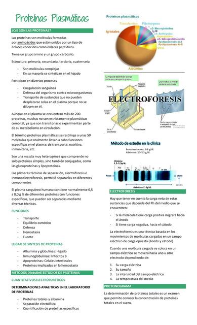 Proteínas Plasmáticas RESUMEN | Sol | uDocz