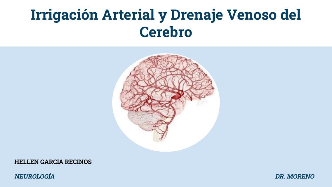 Irrigación Arterial y Drenaje Venoso del Cerebro | HEMA | uDocz