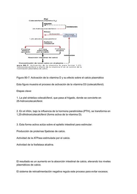 Documento sin título | M | uDocz