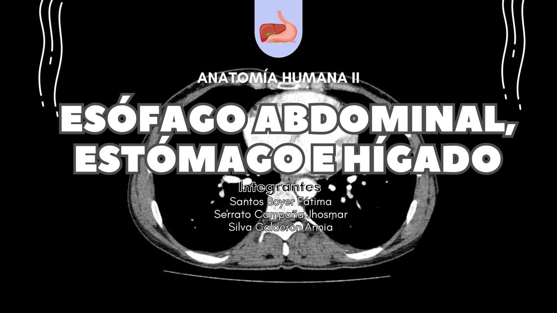 Anatomía de Esófago Estómago e Hígado | Anni med study | uDocz