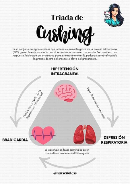 Nursenotess | uDocz