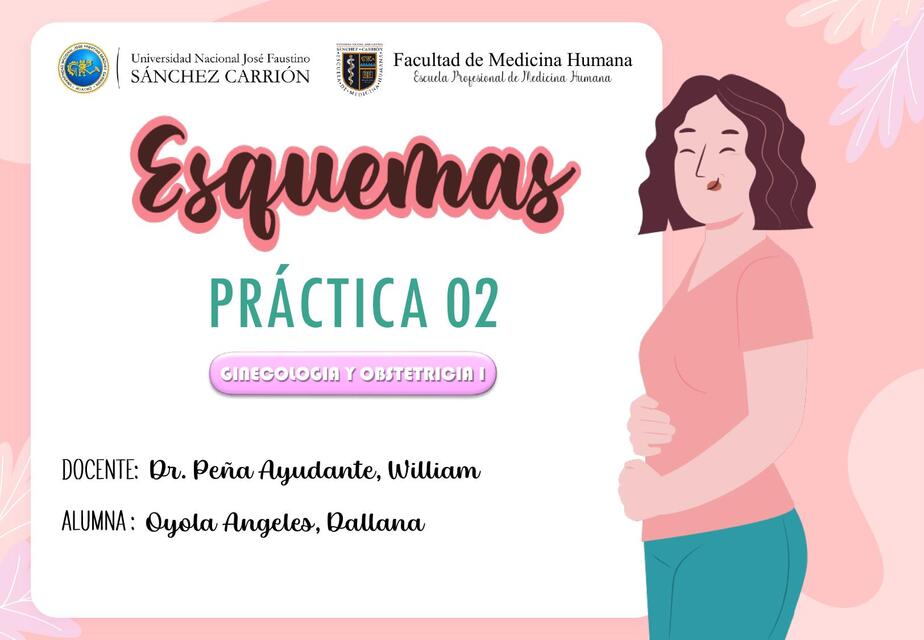 ESQUEMAS: ANATOMIA GENITALES FEMENINOS, ESPECULOSCOPIA, TACTO Y EXAMEN ...