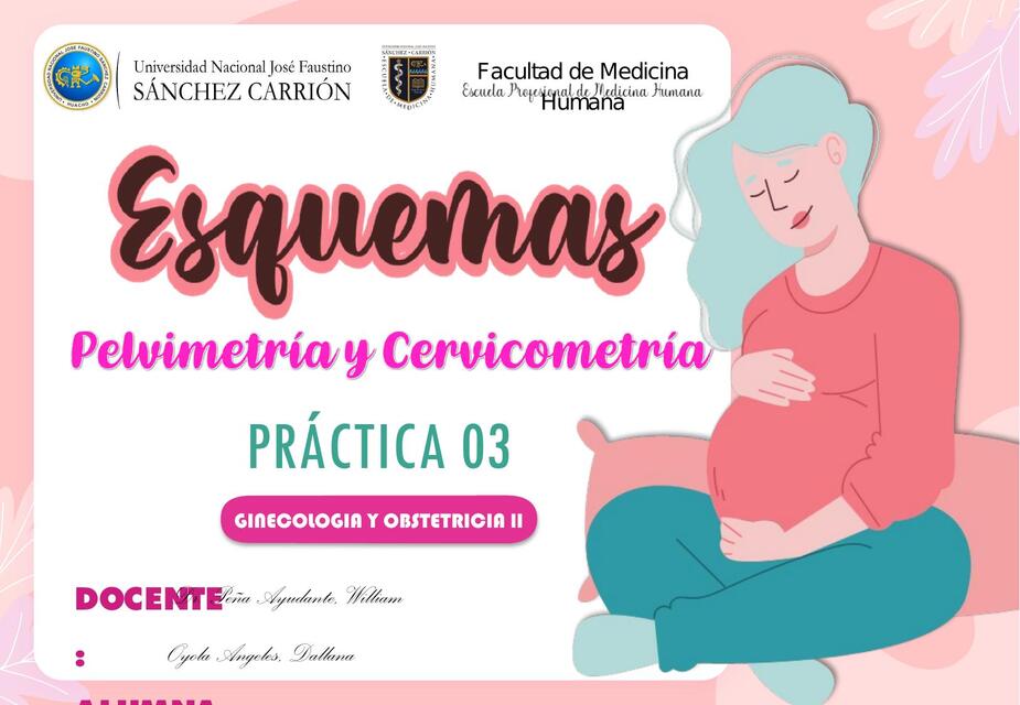 ESQUEMA: PELVIMETRÍA Y CERVICOMETRÍA | Apuntes Medicos | uDocz